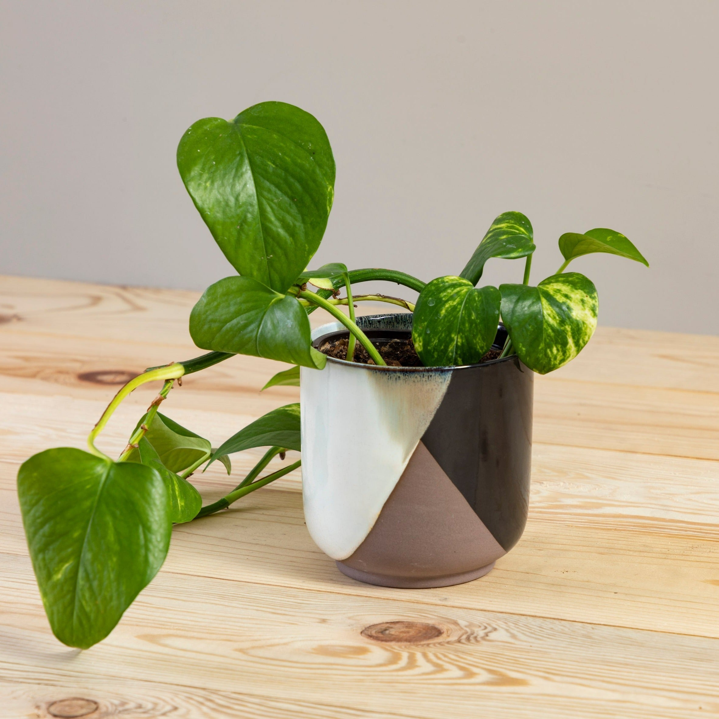 Retro Pot, Large – Le Marché Pop Up